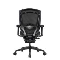 China Breathable Wintex Mesh Chairs Middle Back Chairs Manager Chairs Ergonomic Office Chair for sale