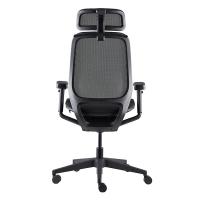 China Tilt Function and Adjustable Headrest With Hanger Black Ergo Desk Chair for sale