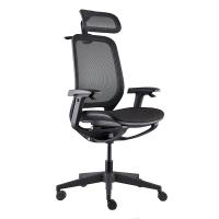 China Tilt Function and Adjustable Headrest With Hanger Black Ergo Desk Chair for sale