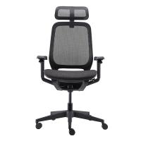China Tilt Function and Adjustable Headrest With Hanger Black Ergo Desk Chair for sale