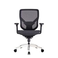 China Adjustable Armrest Lumbar Support and Premium Caster Online Office Chairs for sale