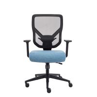 China Blue Foam Seat Mid Back Ergonomic Office Chair Mesh Computer Task Chairs for sale
