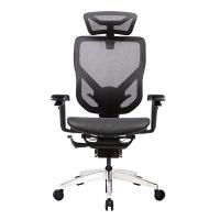 China 5D Armrest Adjustable Back Support Seat Headrest Ergonomic Office Chair for sale