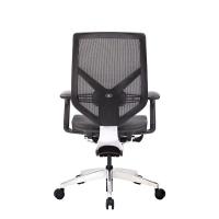 China Black PA Plastic Executive Swivel Chair Backrest Height adjustable Seating for sale