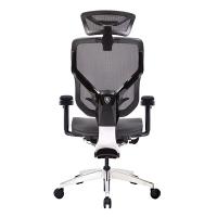 China Wintex Mesh High Back Swivel Chairs Sync Sliding 15 Locks Backrest for sale