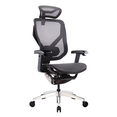 China Wintex Mesh High Back Swivel Chairs Sync Sliding 15 Locks Backrest for sale
