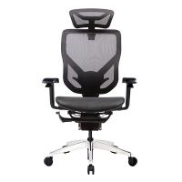 China Wintex Mesh High Back Swivel Chairs Sync Sliding 15 Locks Backrest for sale