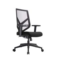 China Swivel Mesh Office Chair Black PA Lower Back Ergonomic Chair Project  Task Chairs for sale