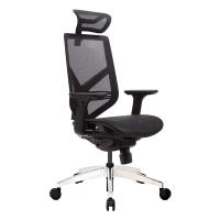 China GTCHAIR Polished Aluminum Ergo Desk Chair Full Mesh Ergonomic Office Chair for sale