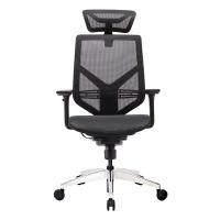 China GTCHAIR Polished Aluminum Ergo Desk Chair Full Mesh Ergonomic Office Chair for sale