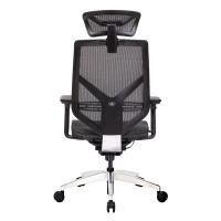 China GTCHAIR Polished Aluminum Ergo Desk Chair Full Mesh Ergonomic Office Chair for sale