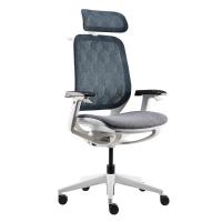 China GTCHAIR Stylish Neoseat Desk Ergonomic Chairs Adjustable Mesh Back Office Chair for sale
