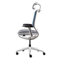 China GTCHAIR Stylish Neoseat Desk Ergonomic Chairs Adjustable Mesh Back Office Chair for sale