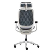China GTCHAIR Stylish Neoseat Desk Ergonomic Chairs Adjustable Mesh Back Office Chair for sale