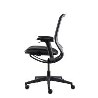 China 4D Adjustable Office Chair Wintex Mesh Ergonomic Executive Chair for sale