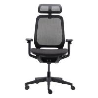 China Paddle Control Ergonomic Executive Chair GT Office Chair High Back Seating for sale