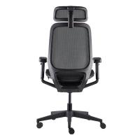 China Paddle Control Ergonomic Executive Chair GT Office Chair High Back Seating for sale