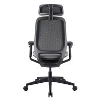 China Neoseat Computer Chair with Headrest Task Ergonomic Swivel Office Chairs for sale