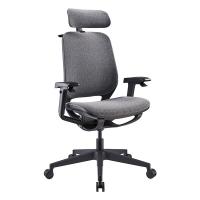 China GTCHAIR Foam Upholstery Ergo Mesh Manager Chair Auto Regulation Swivel Seating for sale