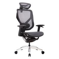 China Vida Lumbar Support Chair Adjustable Arms High Back Swivel Office Chairs for sale