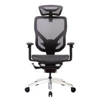 China Vida Lumbar Support Chair Adjustable Arms High Back Swivel Office Chairs for sale