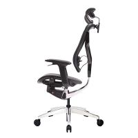 China Vida Lumbar Support Chair Adjustable Arms High Back Swivel Office Chairs for sale