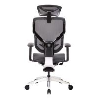 China Vida Lumbar Support Chair Adjustable Arms High Back Swivel Office Chairs for sale