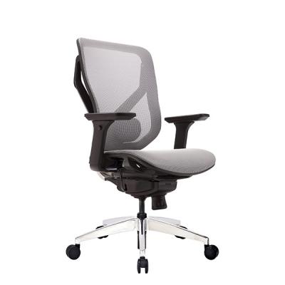China Grey Mesh Multi-Function Home Office Computer Chairs Lumbar Support Chairs for sale