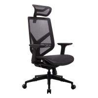China 3D Lumbar Support Ergonomic Office Chair With Blade Wheels for sale