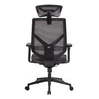 China 3D Lumbar Support Ergonomic Office Chair With Blade Wheels for sale