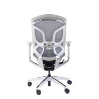China GTCHAIR Mid Back Ergonomic Office Chair Wintex Mesh Rolling Chair Online Mesh Seating for sale