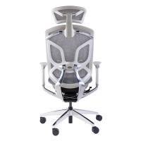 China High Back Polished Aluminum Ergonomic Mesh Executive Chair Sync Sliding Swivel Office Chair for sale