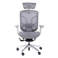 China High Back Polished Aluminum Ergonomic Mesh Executive Chair Sync Sliding Swivel Office Chair for sale
