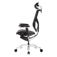 China Aluminum Backrest Height Adjustable 3D Headrest 5D Armrest Mesh Back Office Chairs for sale