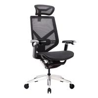 China Aluminum Backrest Height Adjustable 3D Headrest 5D Armrest Mesh Back Office Chairs for sale