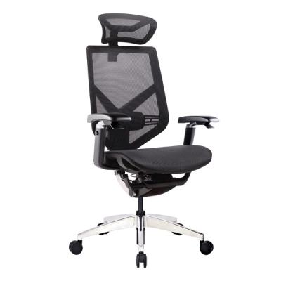 China Aluminum Backrest Height Adjustable 3D Headrest 5D Armrest Mesh Back Office Chairs for sale
