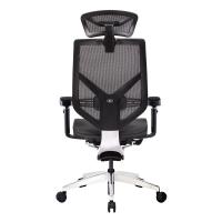 China Aluminum Backrest Height Adjustable 3D Headrest 5D Armrest Mesh Back Office Chairs for sale
