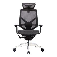 China Aluminum Backrest Height Adjustable 3D Headrest 5D Armrest Mesh Back Office Chairs for sale