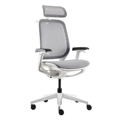 China Staff Rolling Furniture Seating Computer White High Back Mesh Office Chairs for sale