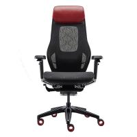 China Luxury Lumbar Support Ergonomic PC Gaming Chair Wintex Mesh Back Gaming Chair for sale