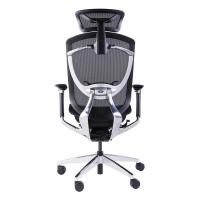 China Black PA Ergo Curve All Mesh Office Chair Breathable Swivel Seating Chair for sale