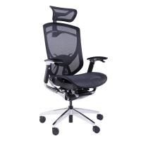 China Black PA Ergo Curve All Mesh Office Chair Breathable Swivel Seating Chair for sale