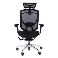 China Black PA Ergo Curve All Mesh Office Chair Breathable Swivel Seating Chair for sale