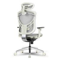 China Adjustable Headrest Backrest Seat Height Depth 4D Armrest Ergo Desk Chair for sale