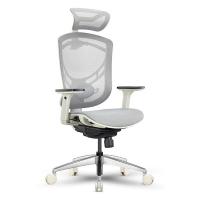 China Adjustable Headrest Backrest Seat Height Depth 4D Armrest Ergo Desk Chair for sale