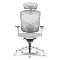 China Adjustable Headrest Backrest Seat Height Depth 4D Armrest Ergo Desk Chair for sale