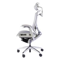 China Ergo Swivel Chair Sync Sliding Swivel Seating Ergonomic Chair Mesh Office Chairs for sale