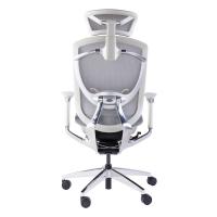 China Ergo Swivel Chair Sync Sliding Swivel Seating Ergonomic Chair Mesh Office Chairs for sale