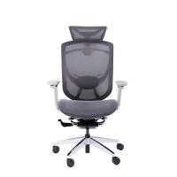 China IFIT Mesh Swivel Chairs Seat Depth Adjustable High Back Ergonomic Office Chair for sale