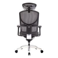 China Dynamic Support Ergonomic Mesh Executive Chair 4D Armrest Lumbar Support Chair for sale